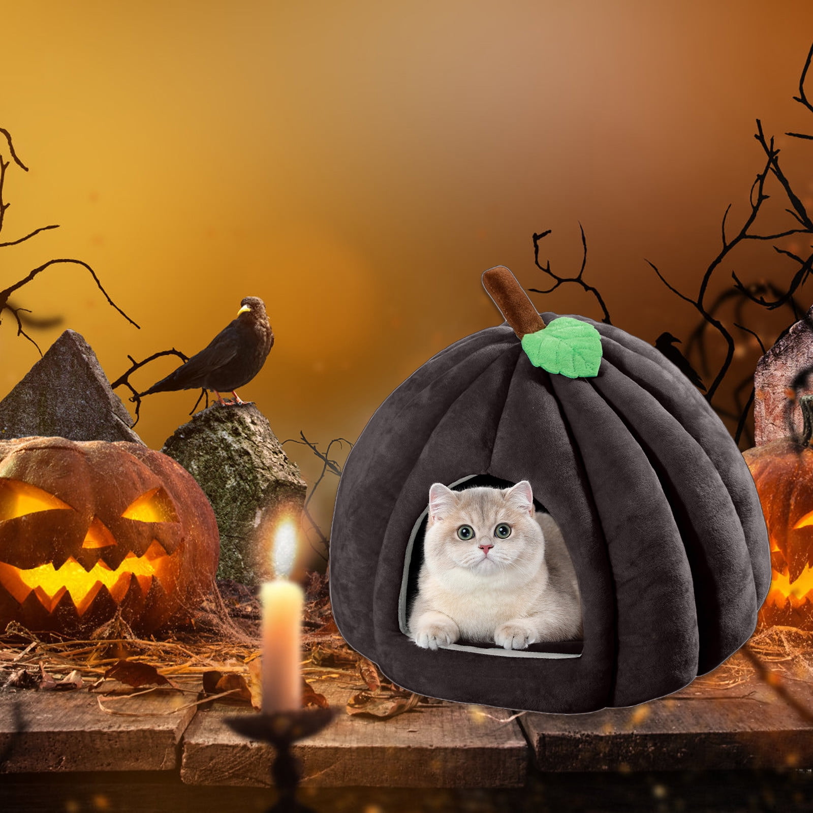 Nmdmisc Pumpkin Cat House,Cat Beds for Indoor Cats,Pumpkin Cat Bed,Cave ...