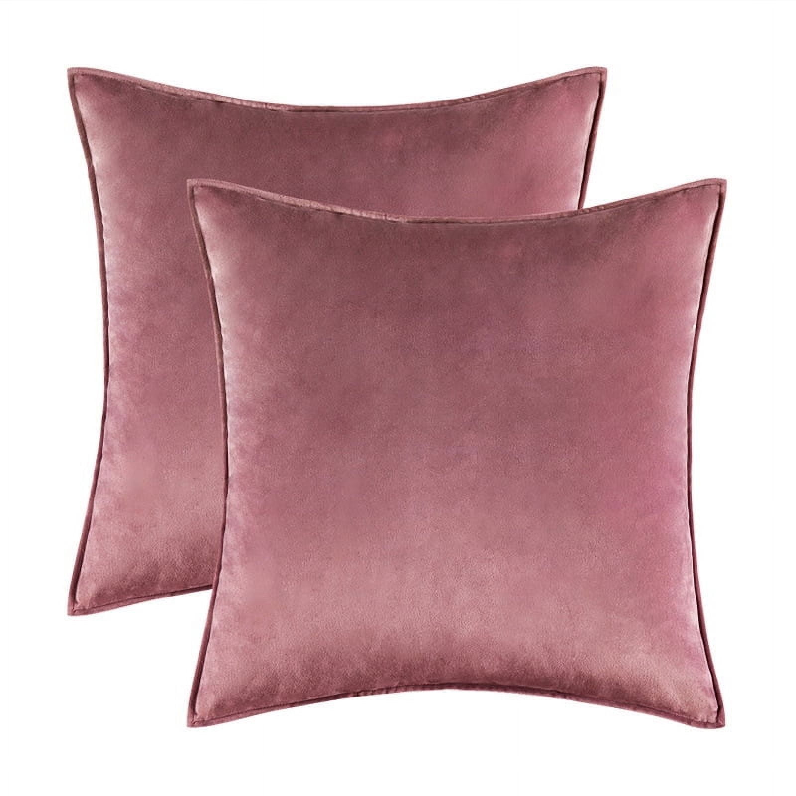 Nmkwnr 2 Pack Decorative Velvet Throw Pillow Covers Soft Solid Square ...
