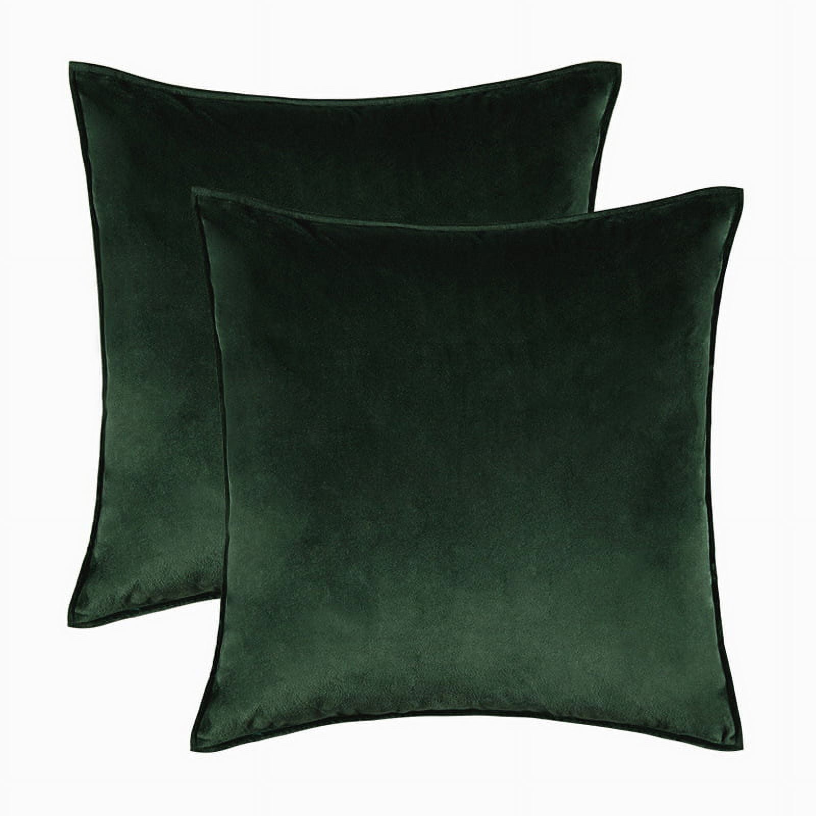 Nmkwnr 2 Pack Decorative Velvet Throw Pillow Covers Soft Solid Square ...
