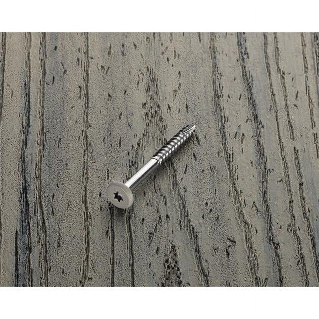 No.9 x 1.87 in. Star Pan Head Epoxy Coated Stainless Steel Fascia ...