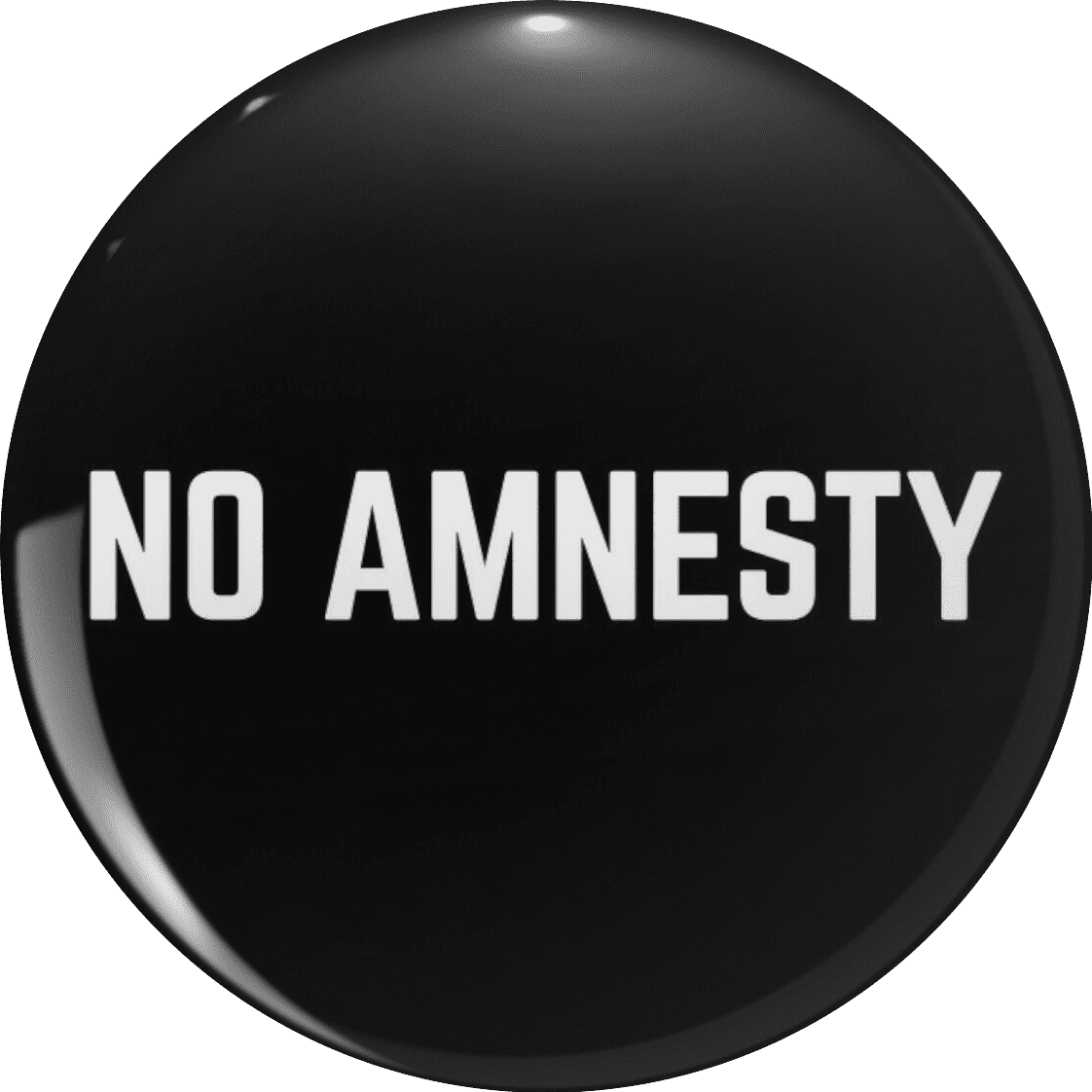 No Amnesty We Need Accountability Pin Lapel Pin Brooch Steel Pins Badge ...