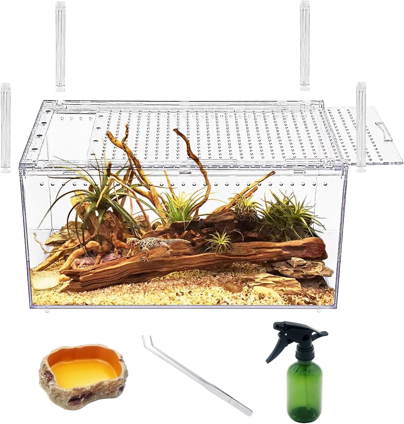 No Assembly12" * 8" * 6" Thicken Reptile Tank Enclosure with Magnetic ...