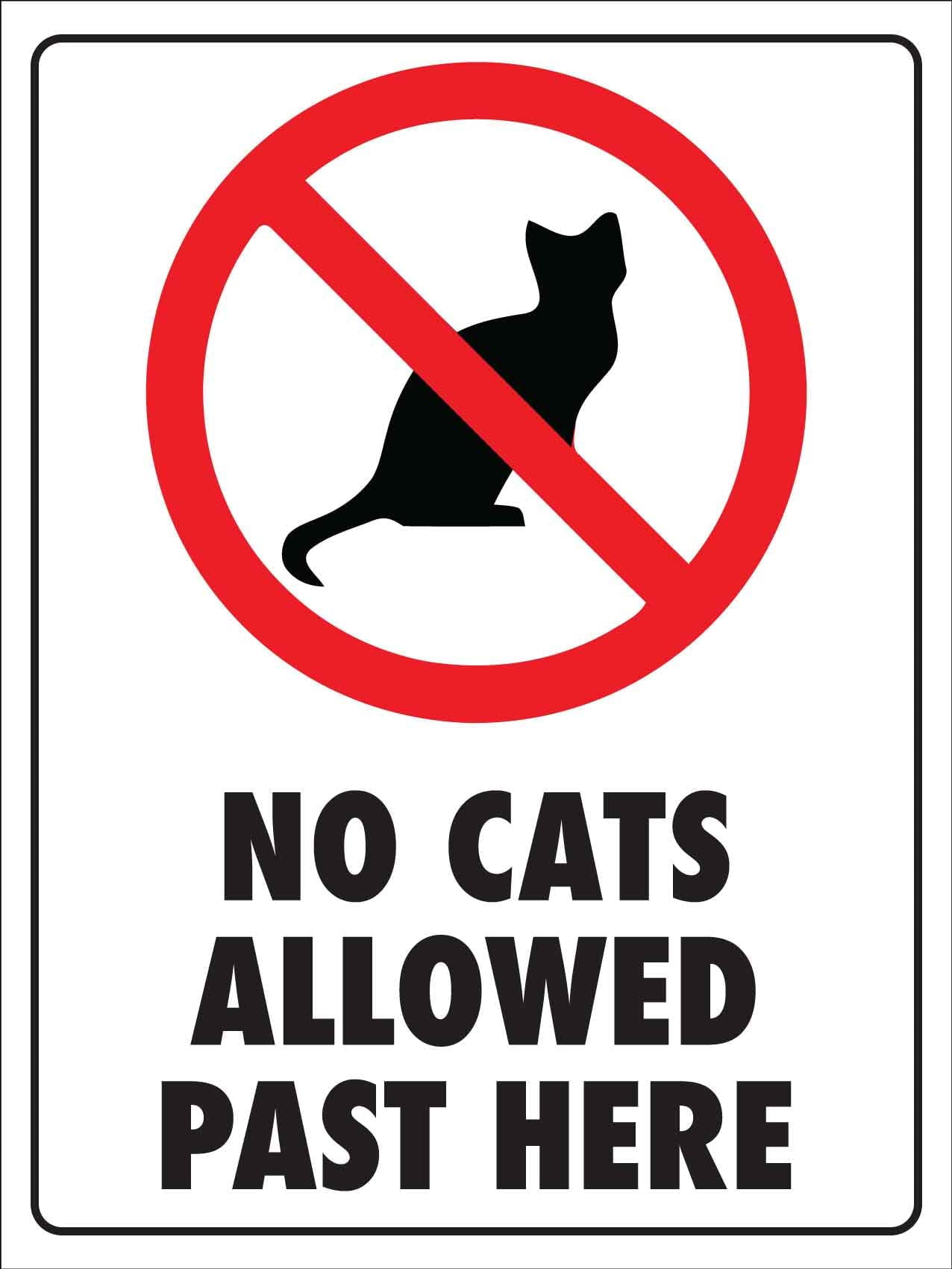 No Cats Allowed Past Here Metal Sign Caution Danger Safety Security ...