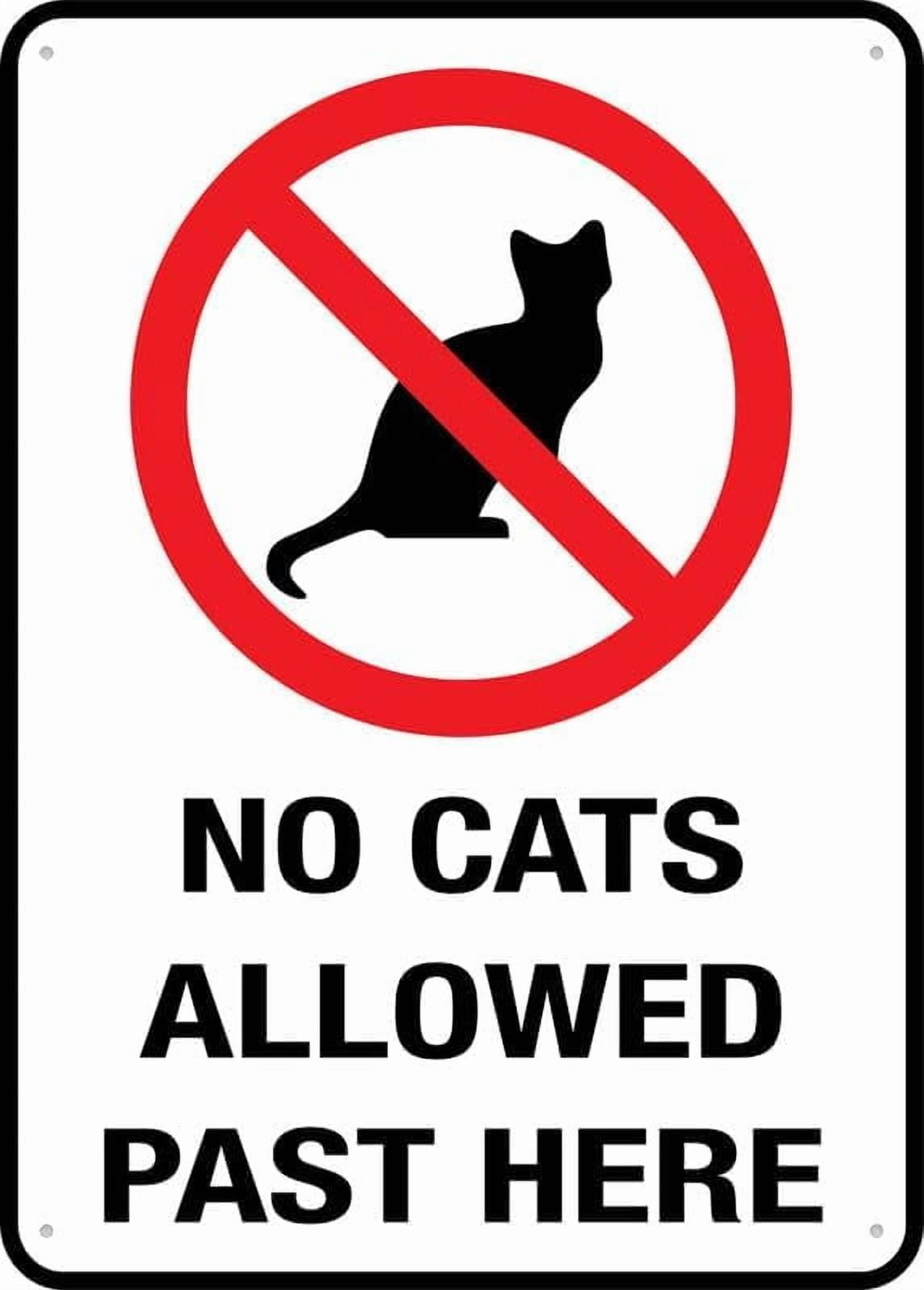 No Cats Allowed Past Here Sign 8X12 in Rust Free Aluminum Signs Outdoor ...