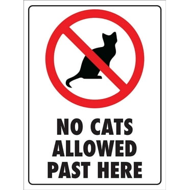 Beware of Cat Sign, Funny Attack Cat Sign, - Walmart.com