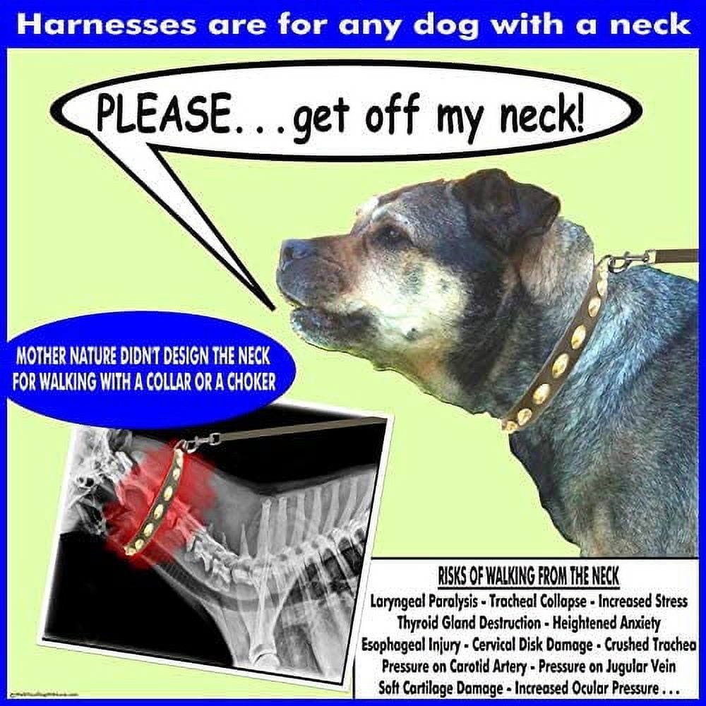 No-Choke No-Pull Front-Leading Dog Harnesses - Sportso Doggo Edition ...