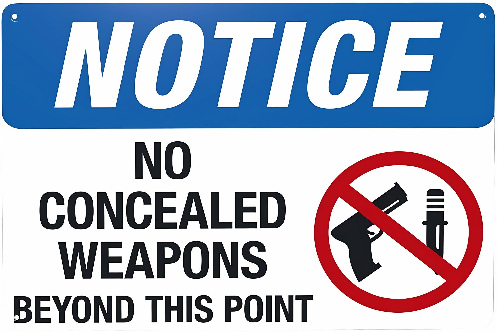 No Concealed Weapons Beyond This Point Retro Security Sign - 8"x12 ...