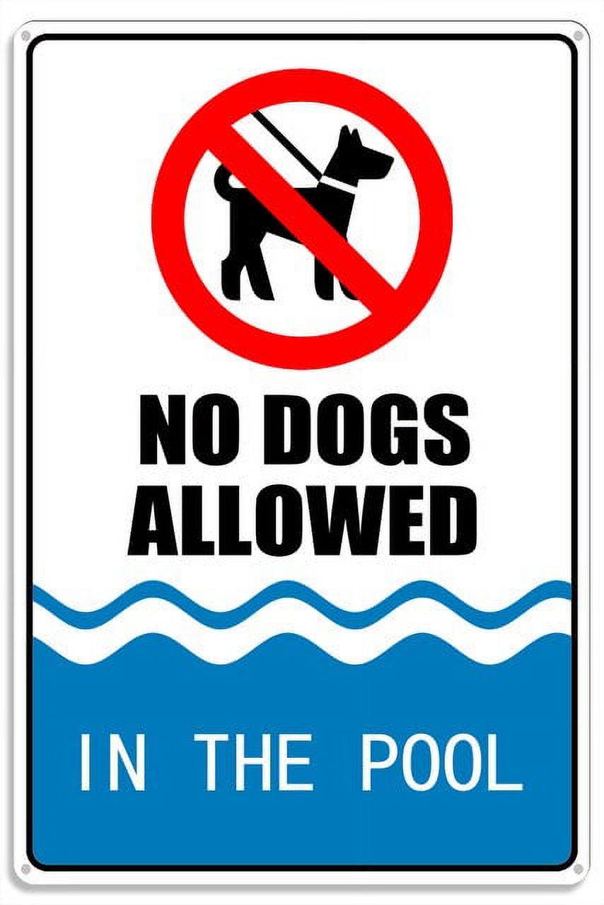No Dogs Allowed In The Pool Metal Sign With Symbol Aluminum Uv Printed ...