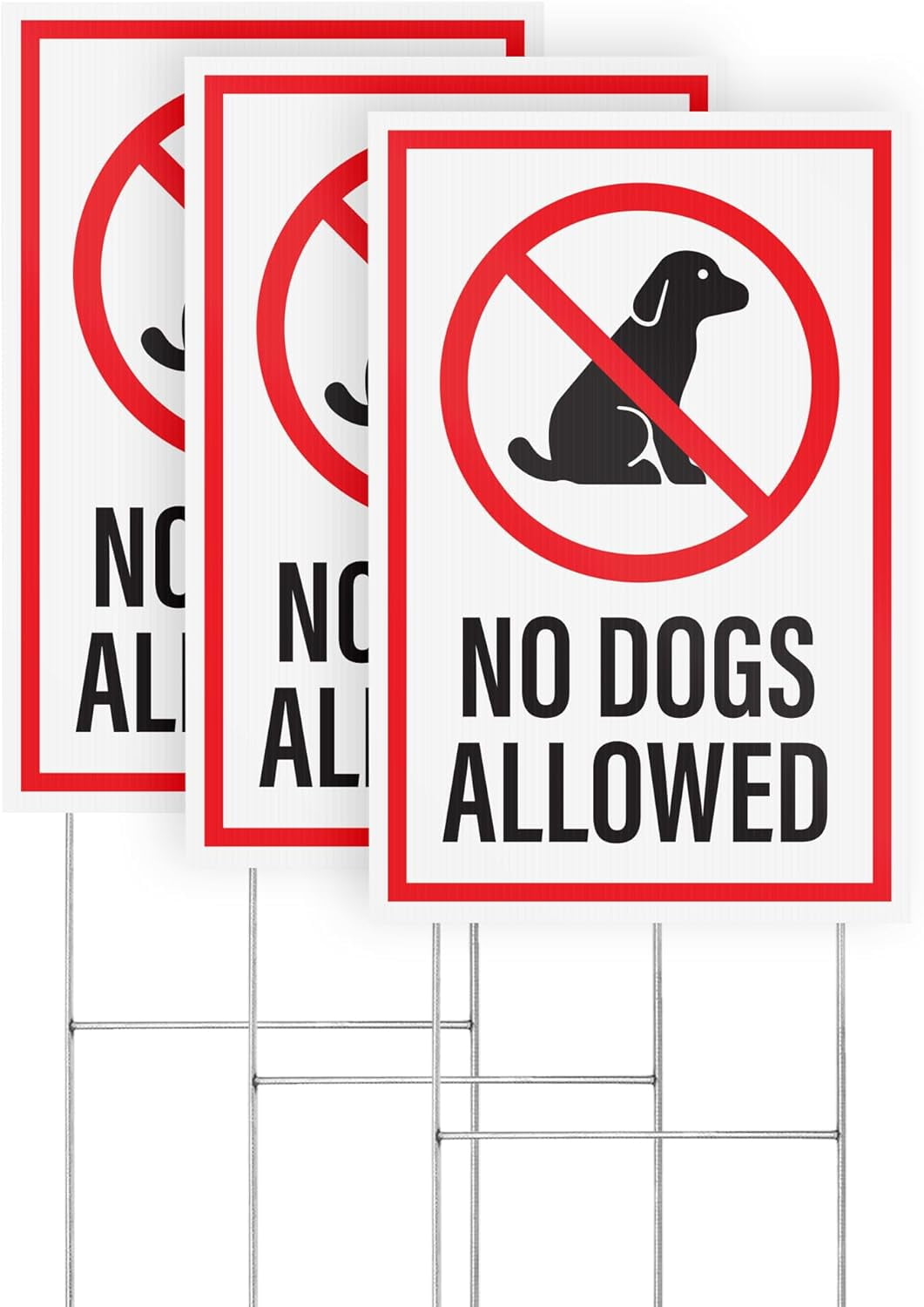 No Dogs Allowed Yard Signs with H-Frame Stakes, 8" x 12" Corrugated ...