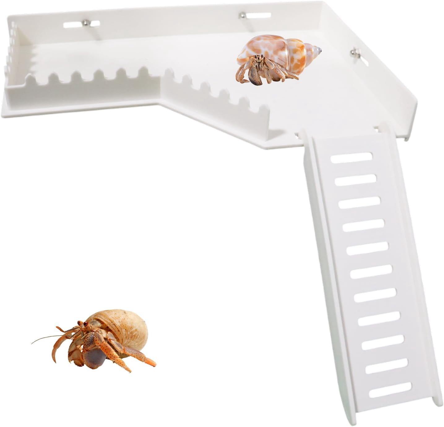 No-Drill Climbing Platform with Ramp, Hermit Crab Climbing Wall ...