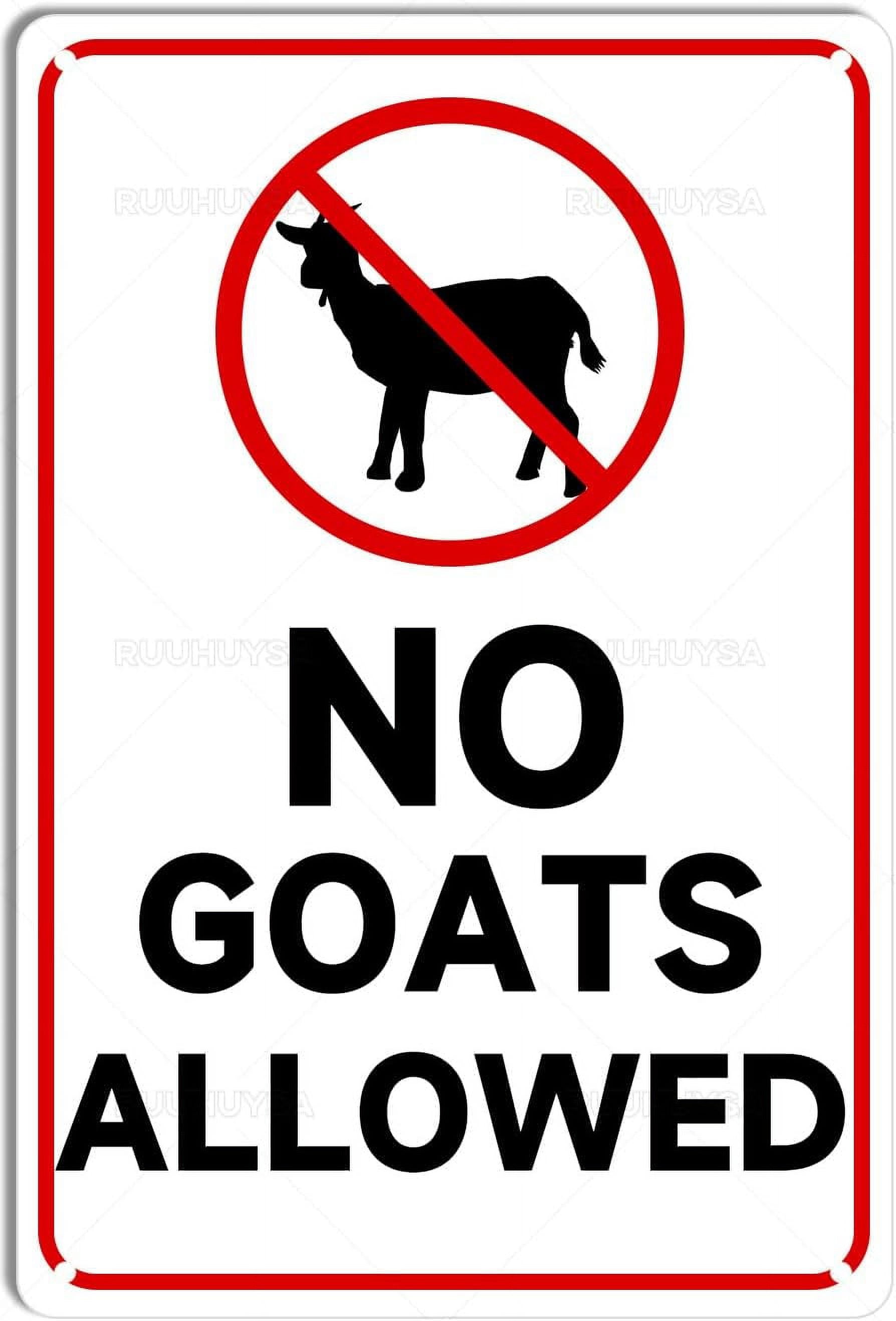No Goats Allowed Metal Tin Signs-Metal Tin Signs Exquisite Wall Art ...
