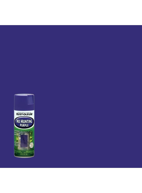 Purple Spray Paint in Spray Paint Colors - Walmart.com