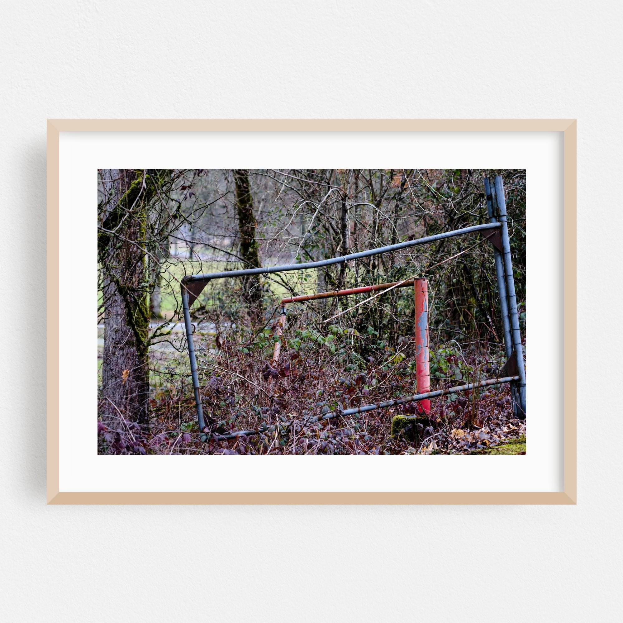No Longer a Gate - Rainier Oregon Photography Woodland Abandoned Rustic ...
