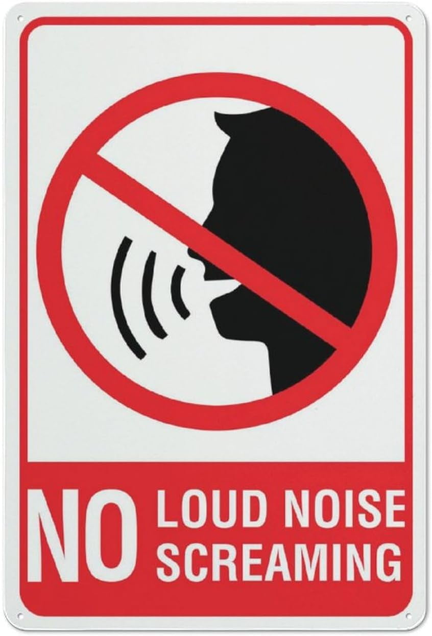 No Loud Noise No Screaming Sign 12 X 8 Inch Metal Sign Rustproof ...