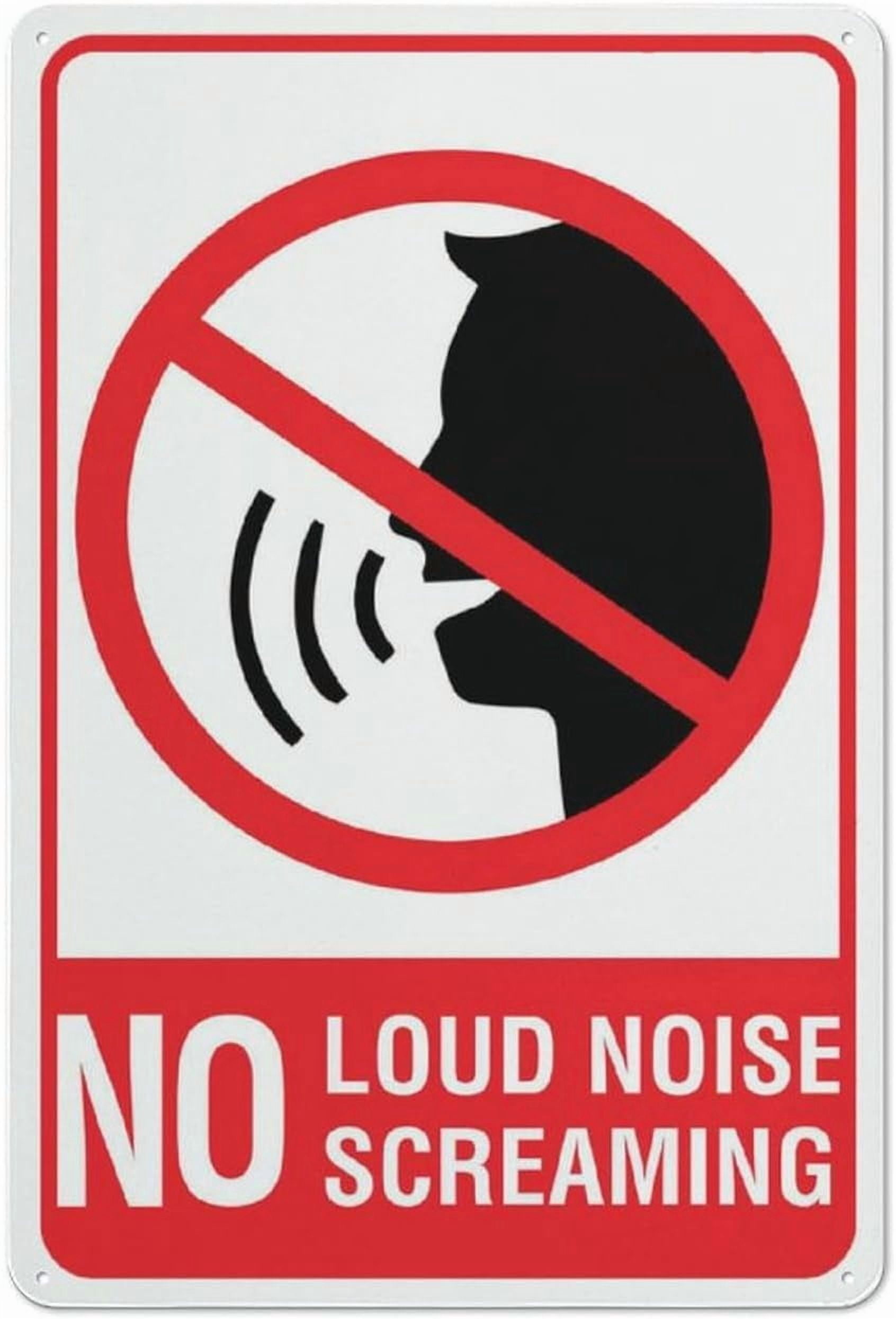 No Loud Noise No Screaming Sign 12 X 8 Inch Metal Sign, Rustproof ...
