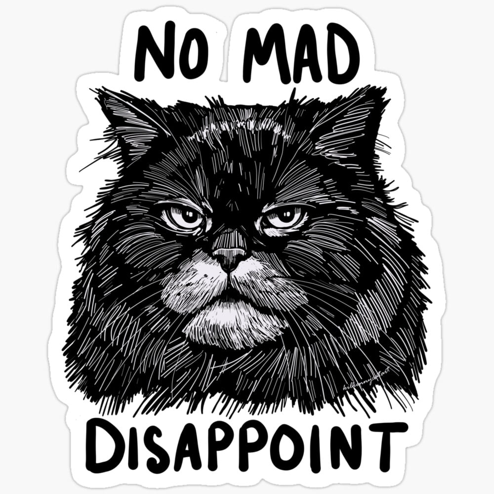 No Mad, Disappoint Sticker Phone Decal Water Bottle Stickers Car Decals ...