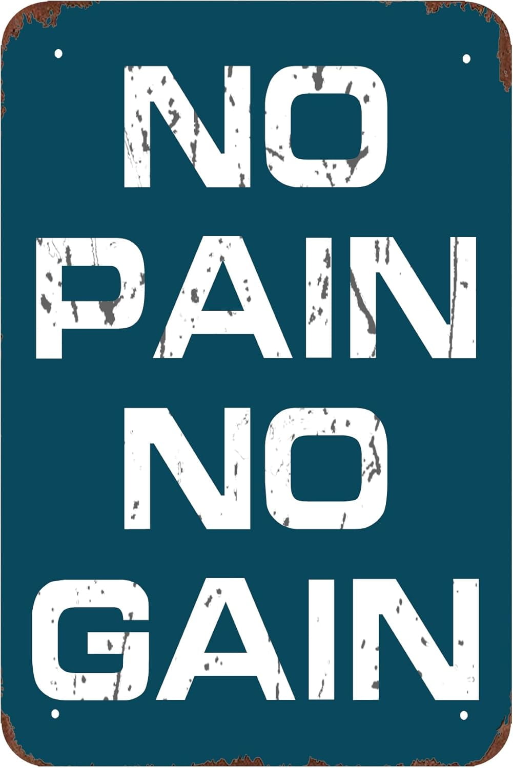 No Pain No Gain Retro Look Metal Sign Inspirational Quotes for Home Gym ...