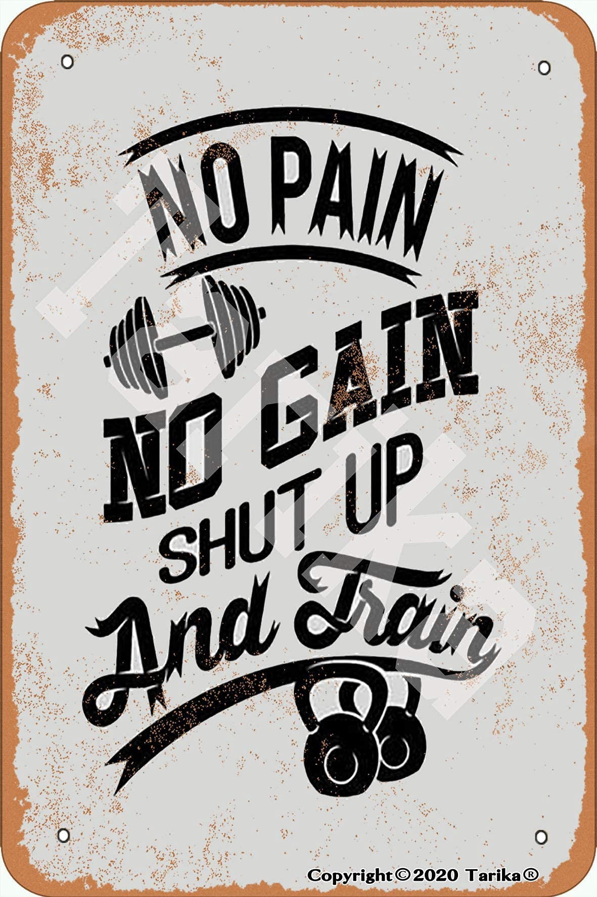 No Pain No Gain Shut Up and Train Retro Look Iron 8 x 12 inches ...