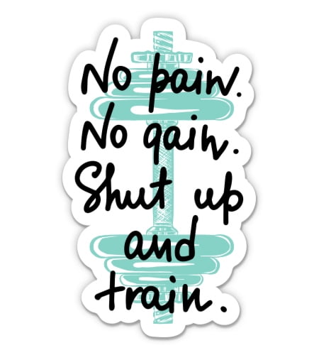 No Pain No Gain Train - 7" Vinyl Sticker - For Car Laptop I-Pad ...