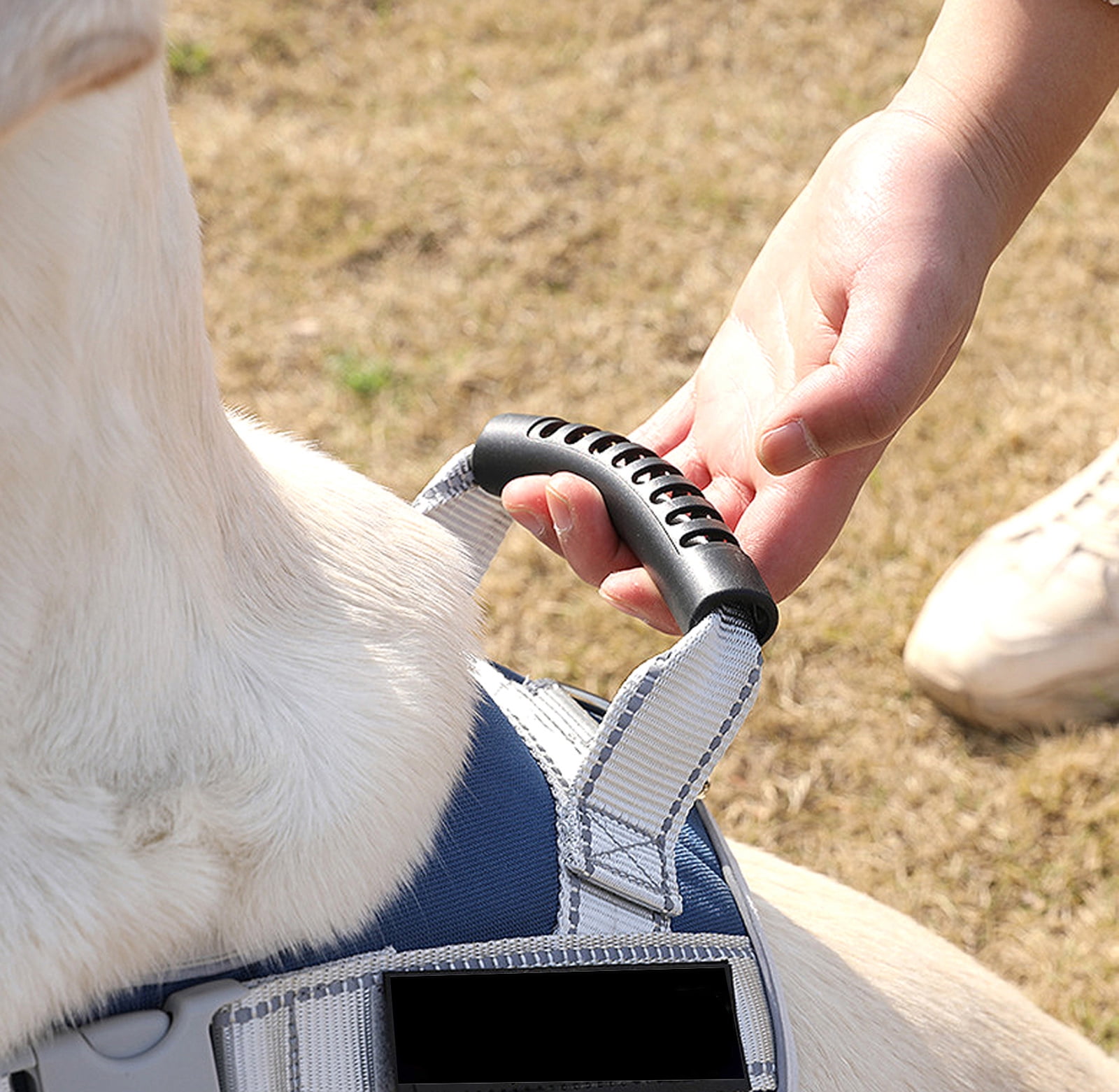 No-Pull Dog Harness with 4 Free Tags/Patches, Reflective Dog Vest with ...