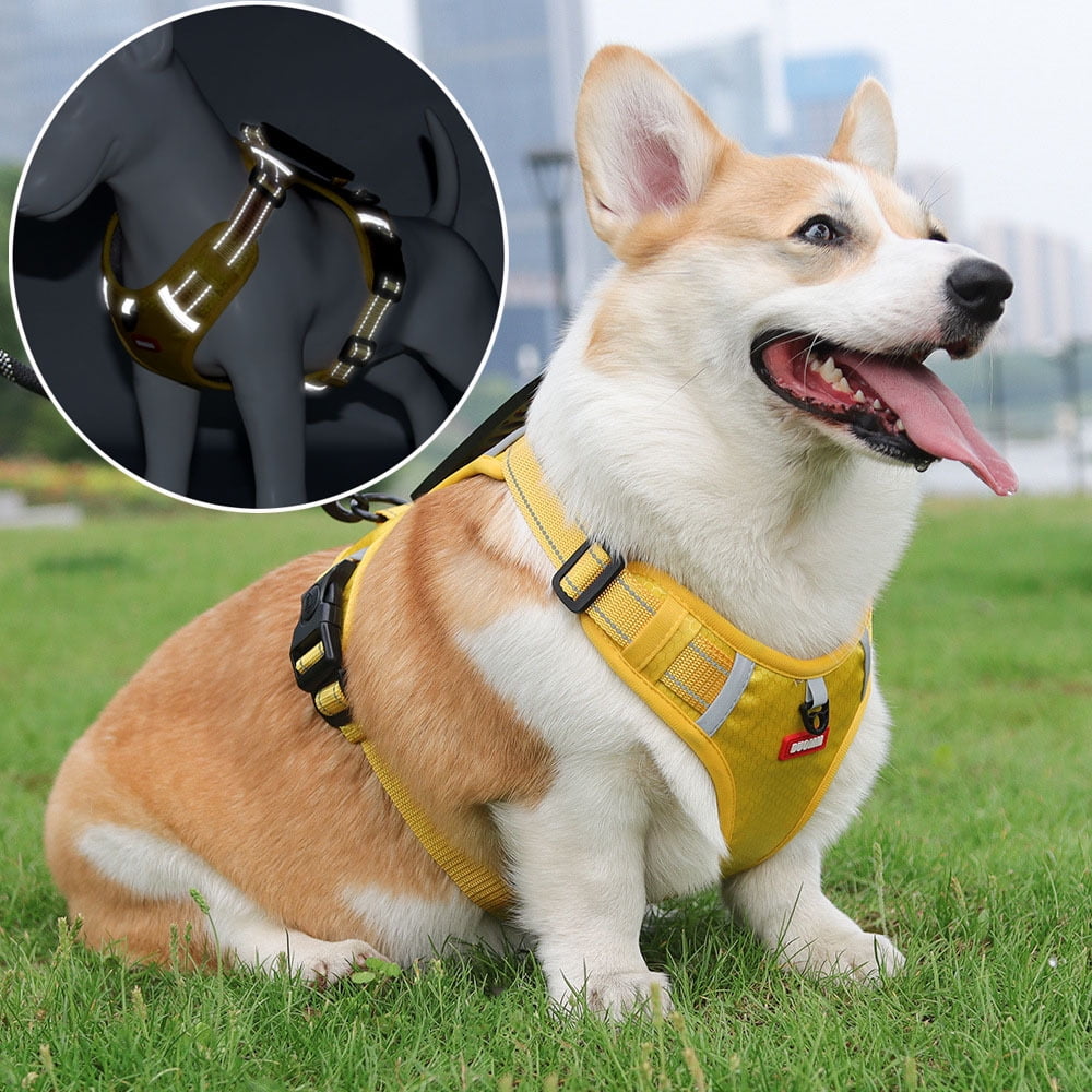 No Pull Dog Harness, Flashing Reflective Pet Chest Carrier, Safe for ...