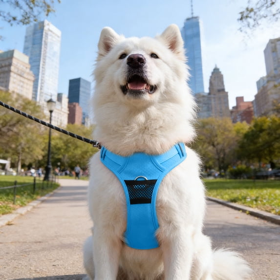 No Pull Dog Harness Reflective Adjustable Vest With Front Clip For ...