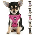 Yikeyo Dog Harness with 2 Leash Clips, Reflective Adjustable Padded ...