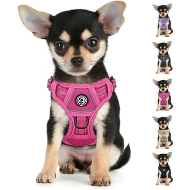 Pink Girl Dog Harness Small Cute Puppy Harness with Bow, Bust 16.53 ...
