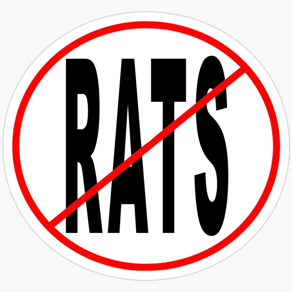 No Rats Sticker Phone Decal Water Bottle Stickers Car Decals, Laptop ...