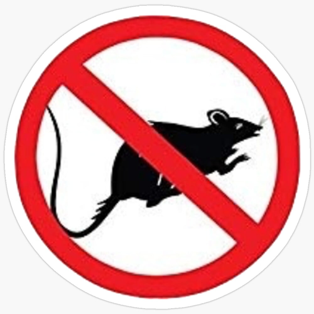 No Rats Sticker Phone Decal Water Bottle Stickers Car Decals, Laptop ...