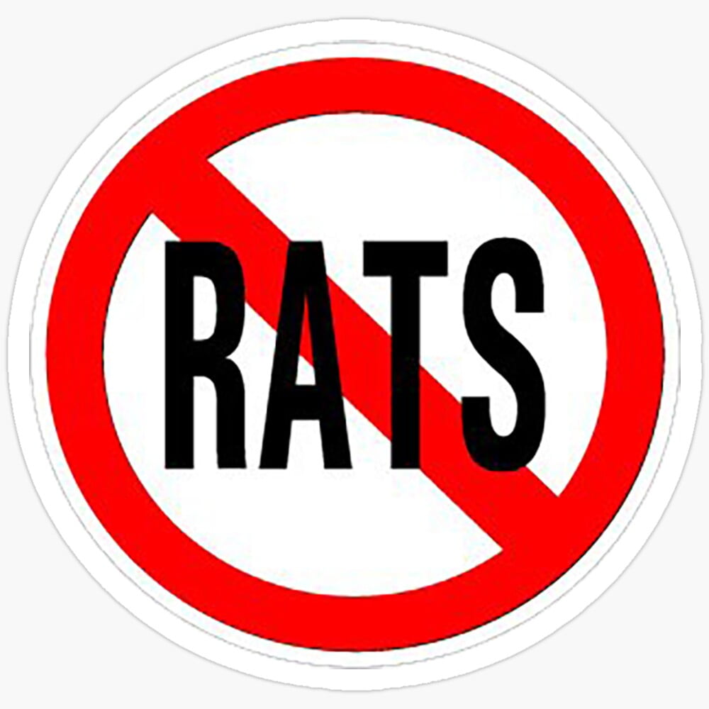 No Rats Sticker Phone Decal Water Bottle Stickers Car Decals, Laptop ...