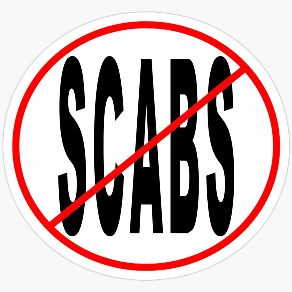 No Scabs Sticker Phone Decal Water Bottle Stickers Car Decals, Laptop ...