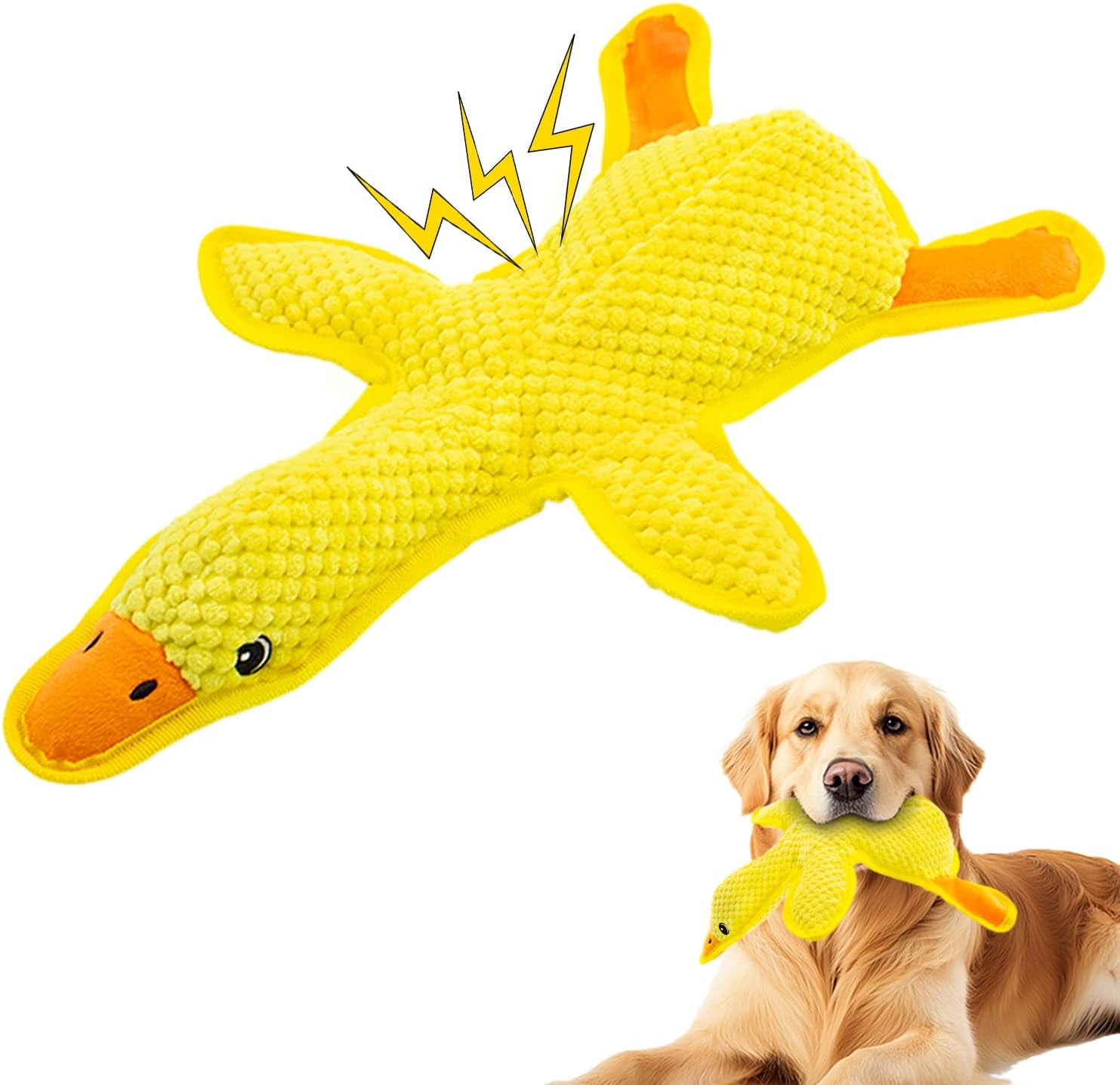 No Stuffing Squeak - for Small Medium Large Breed- Durable Puppy ...