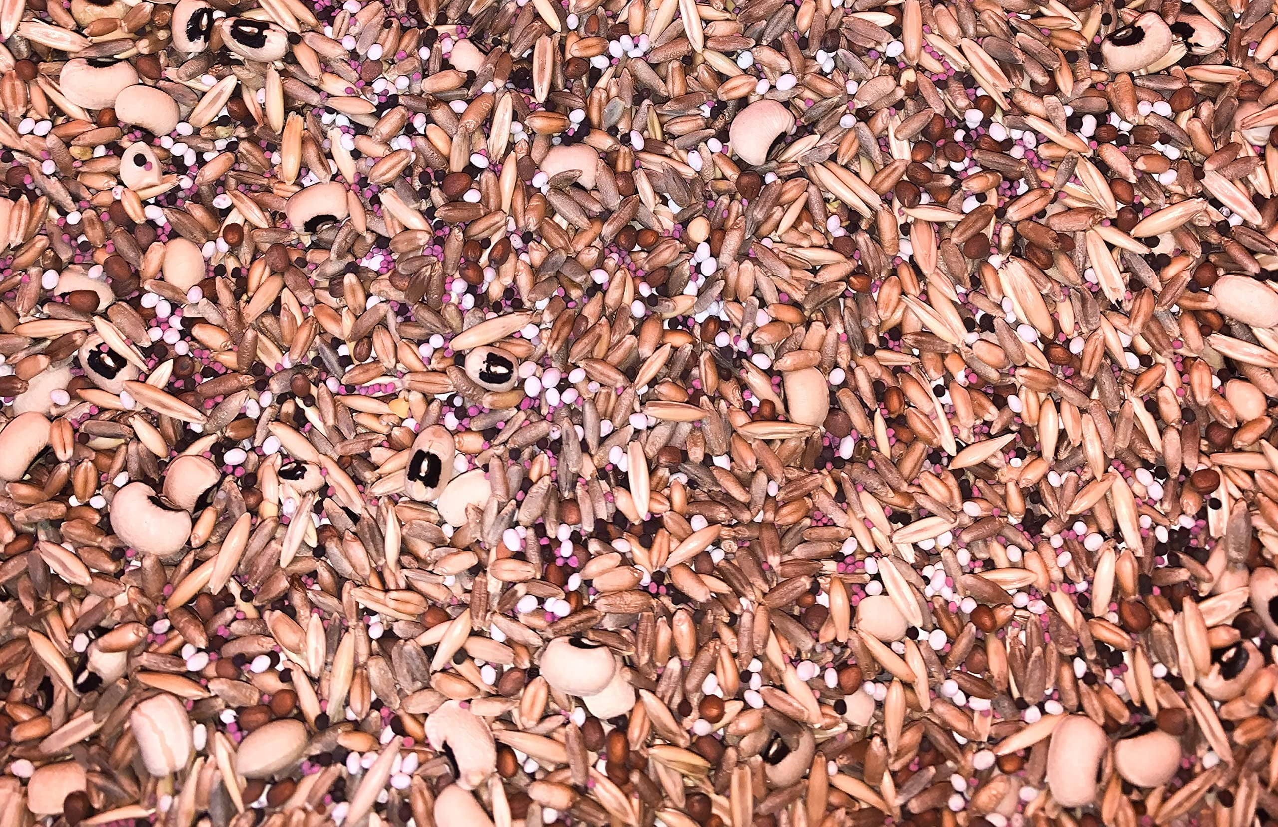 CZ Grain Cover Crop Seed Mix - Winter Rye, Clover, Peas, Radish ...