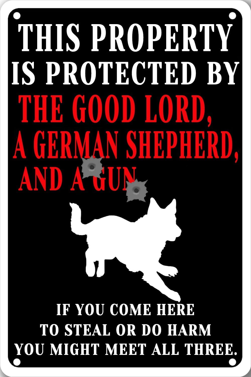 No Trespassing Sign Beware Of Dog Metal Sign Funny Warning Signs for ...