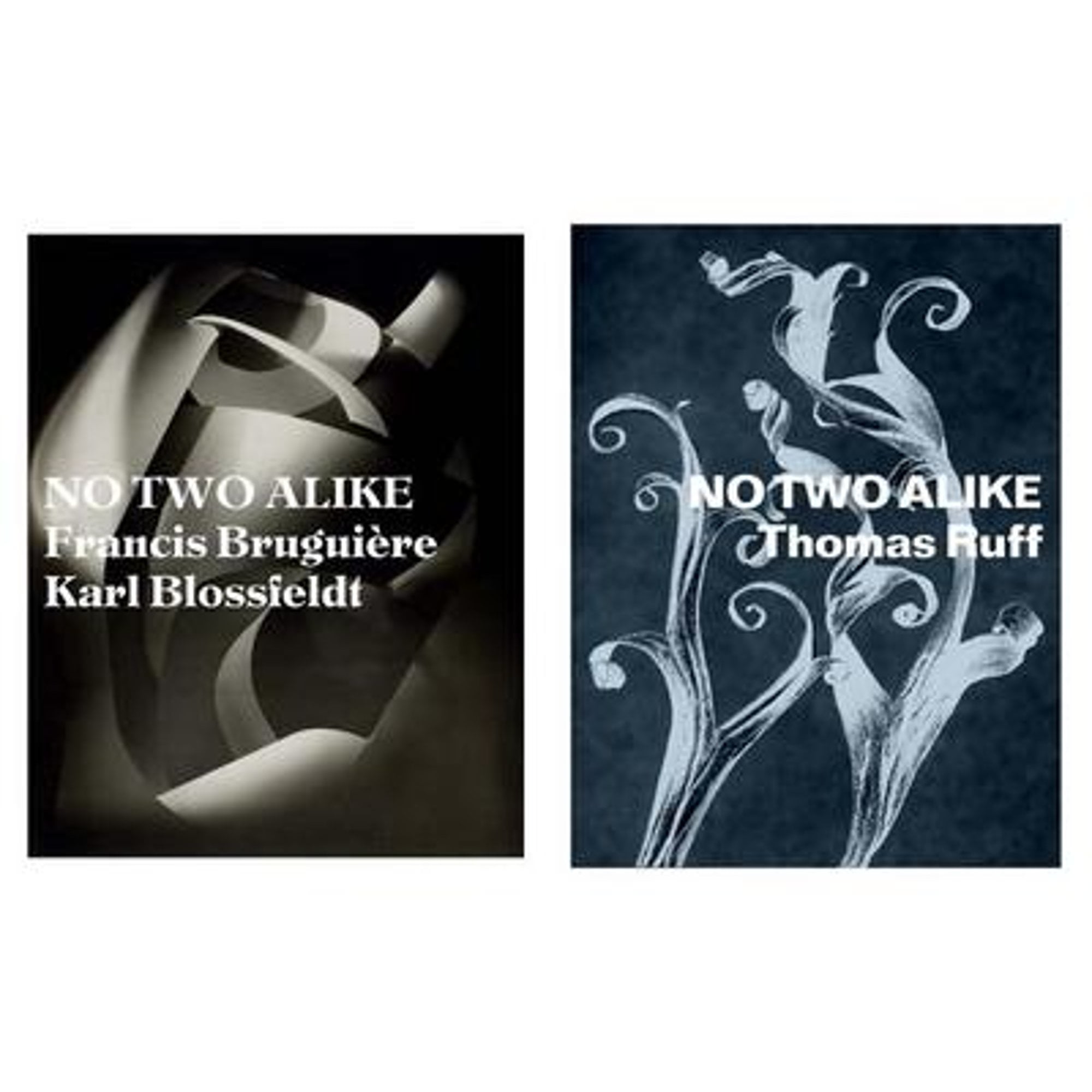 Pre-Owned No Two Alike: Karl Blossfeldt, Francis Bruguière, Thomas Ruff ...