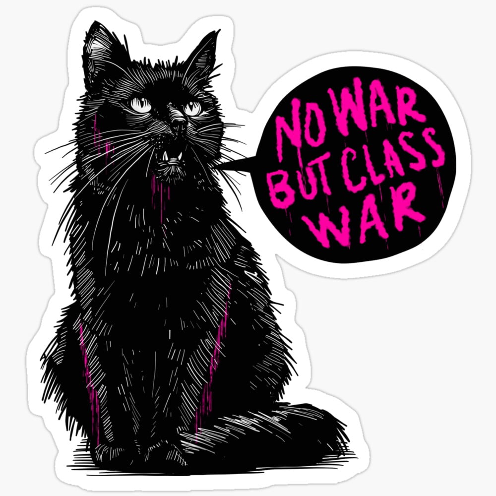 No War But Class War Cat Sticker Phone Decal Water Bottle Stickers Car ...
