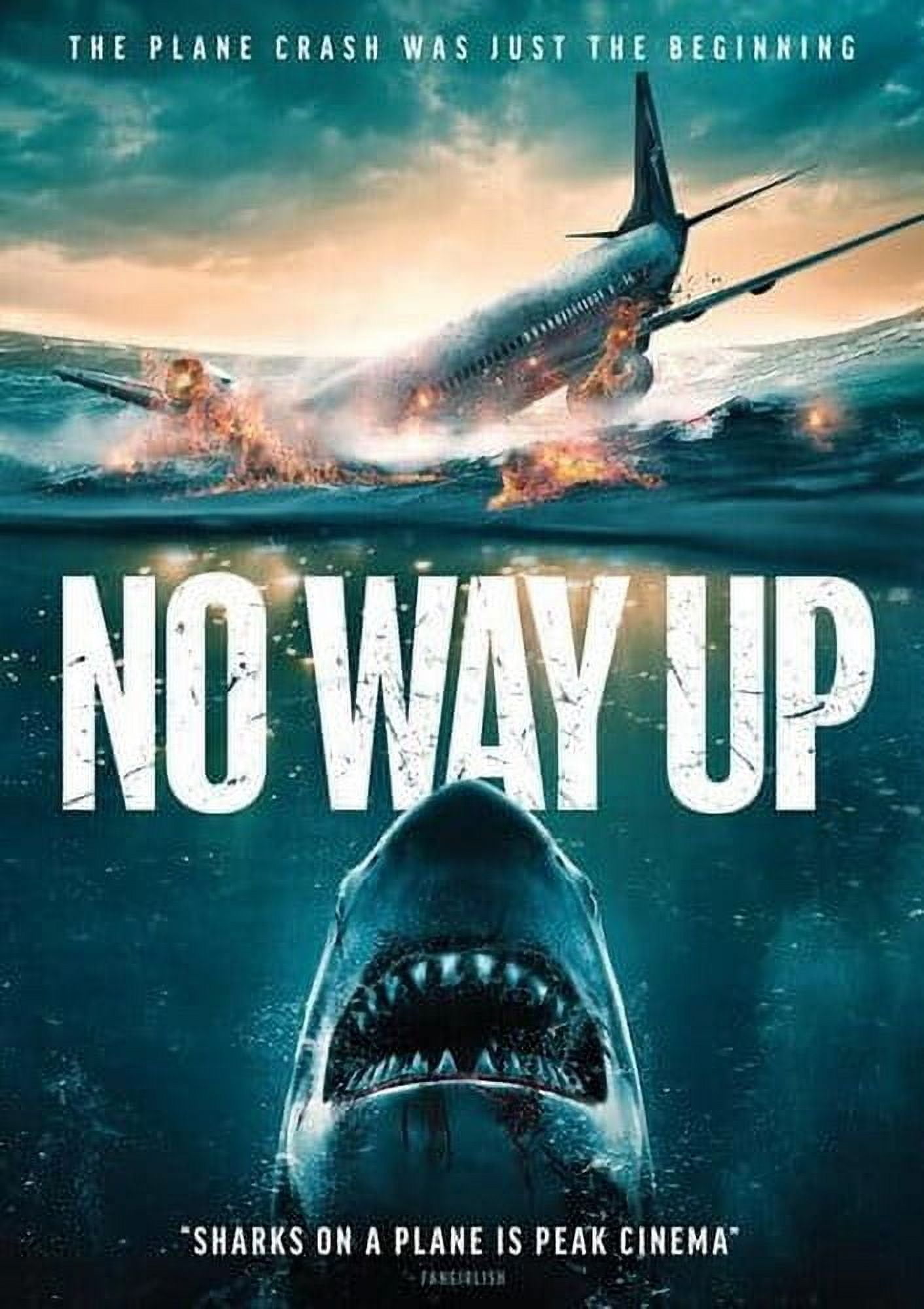 No Way Up DVD - Walmart.com