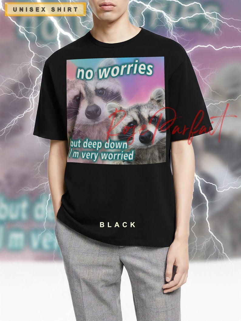 No Worries But Deep Down I'M Very Worried T-shirt - Funny Raccoon Tee ...