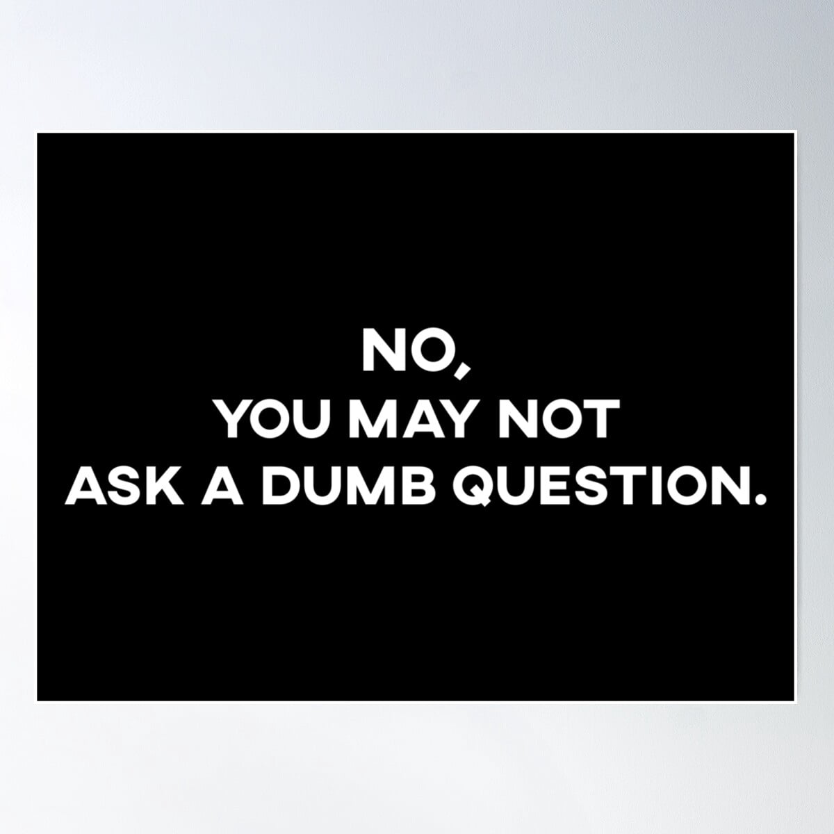 No, You May Not Ask A Dumb Question Poster Wall Art, Modern Wall Decor ...