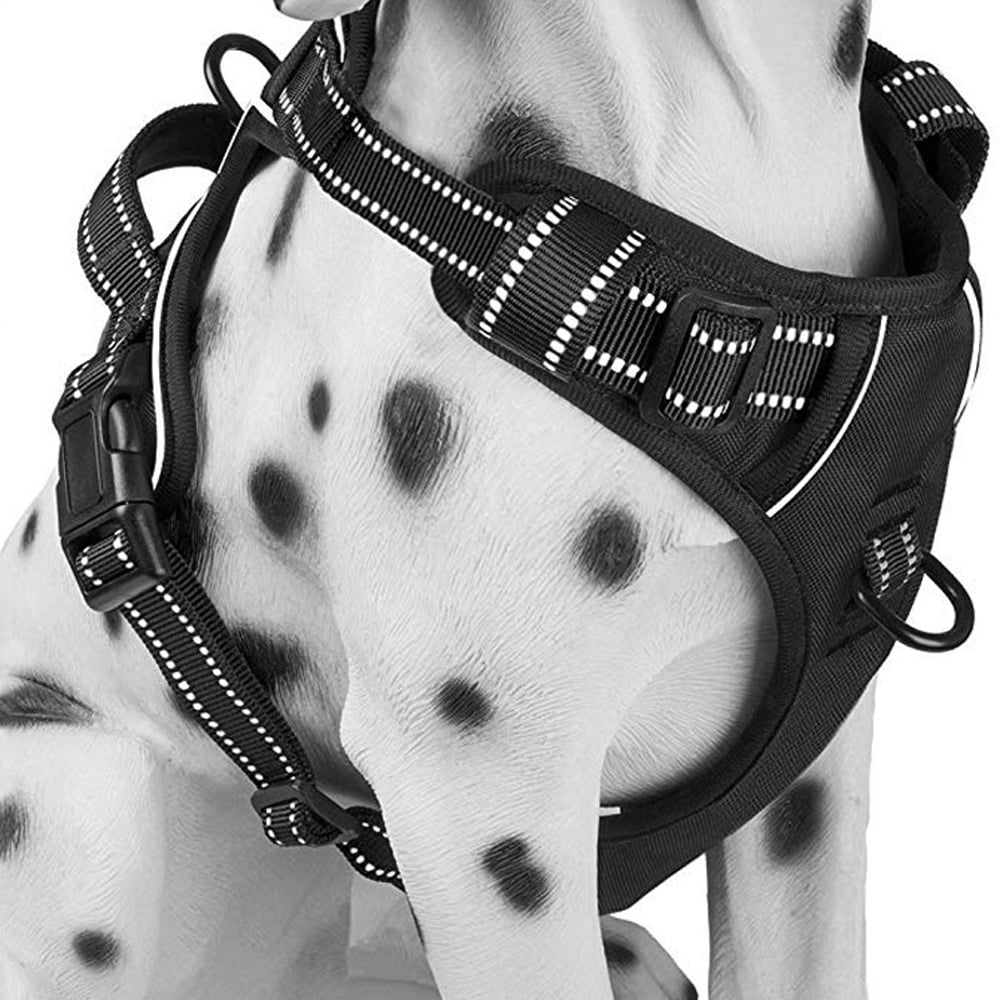 No Pull Strap Breathable Strap Backstrap Reflective Adjustable, Rear ...