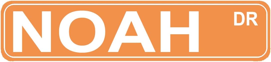 Noah Dr Sign Noah Child Grandchild Birthday Gift Home House Wall Decor ...