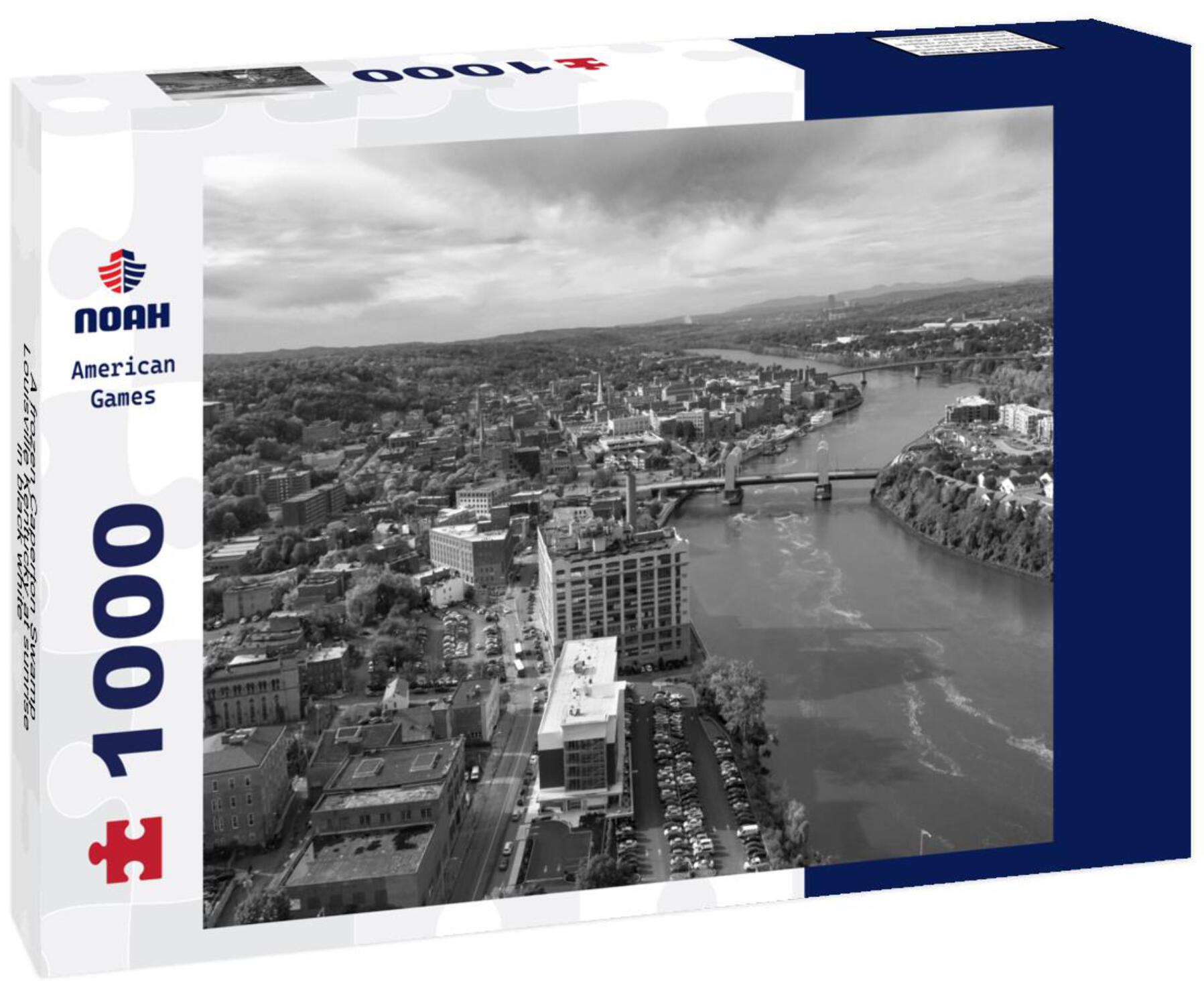 Noah Jigsaw Puzzle A frozen Caperton Swamp Louisville Kentucky at ...