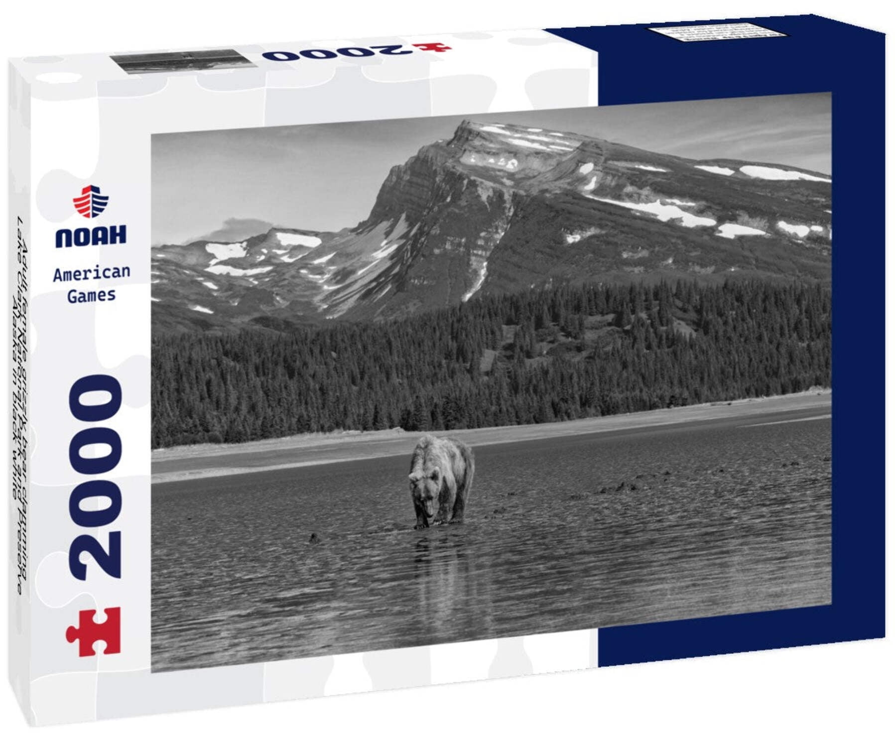 Noah Jigsaw Puzzle Adult female grizzly bear clamming, Lake Clark ...
