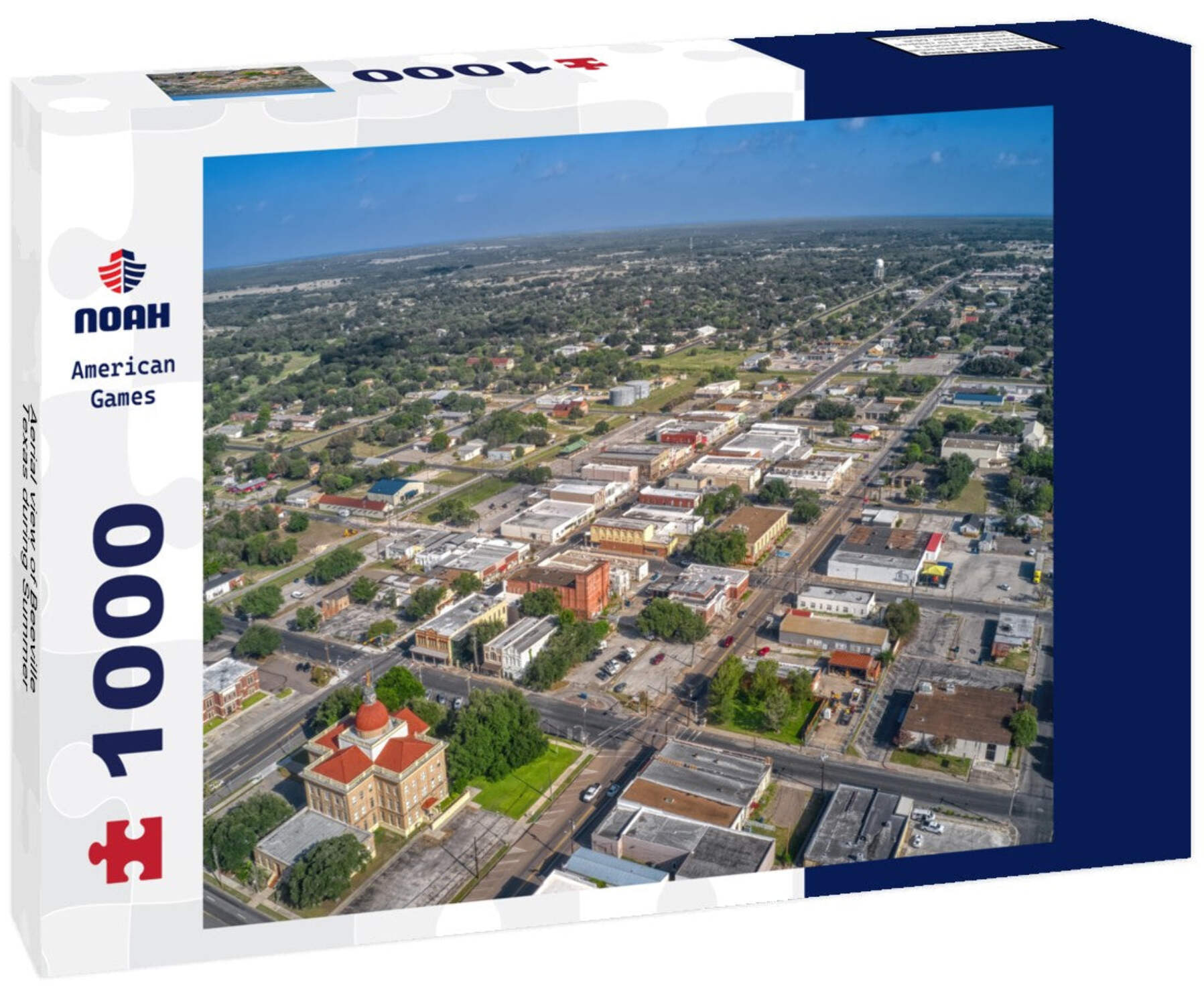 Noah Jigsaw Puzzle Aerial view of Beeville, Texas during Summer 1000 ...