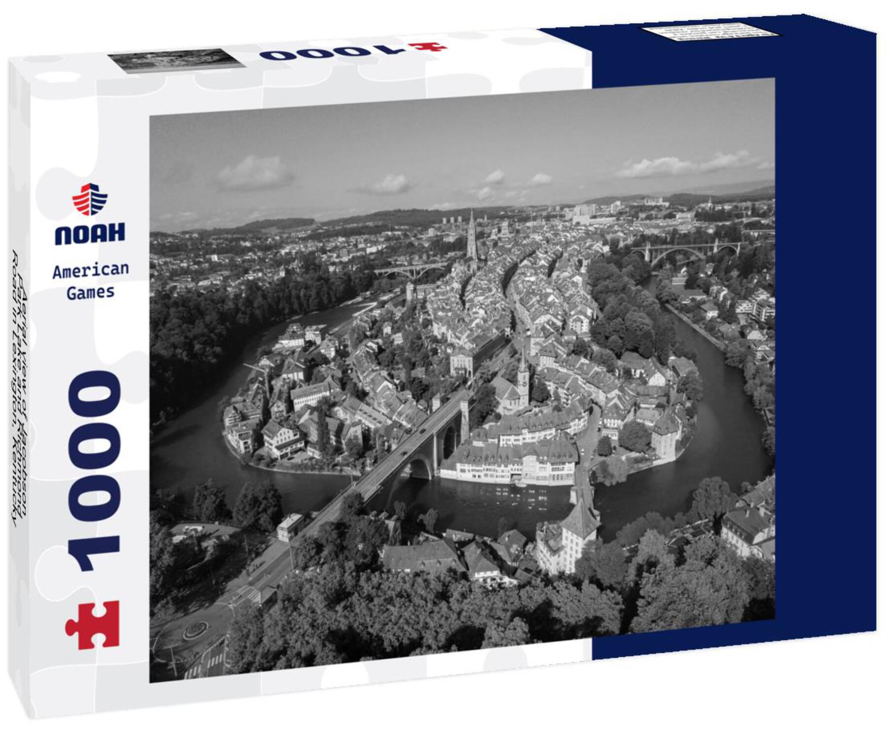 Noah Jigsaw Puzzle Aerial view of Jacobson Park Lake and Richmond Road ...