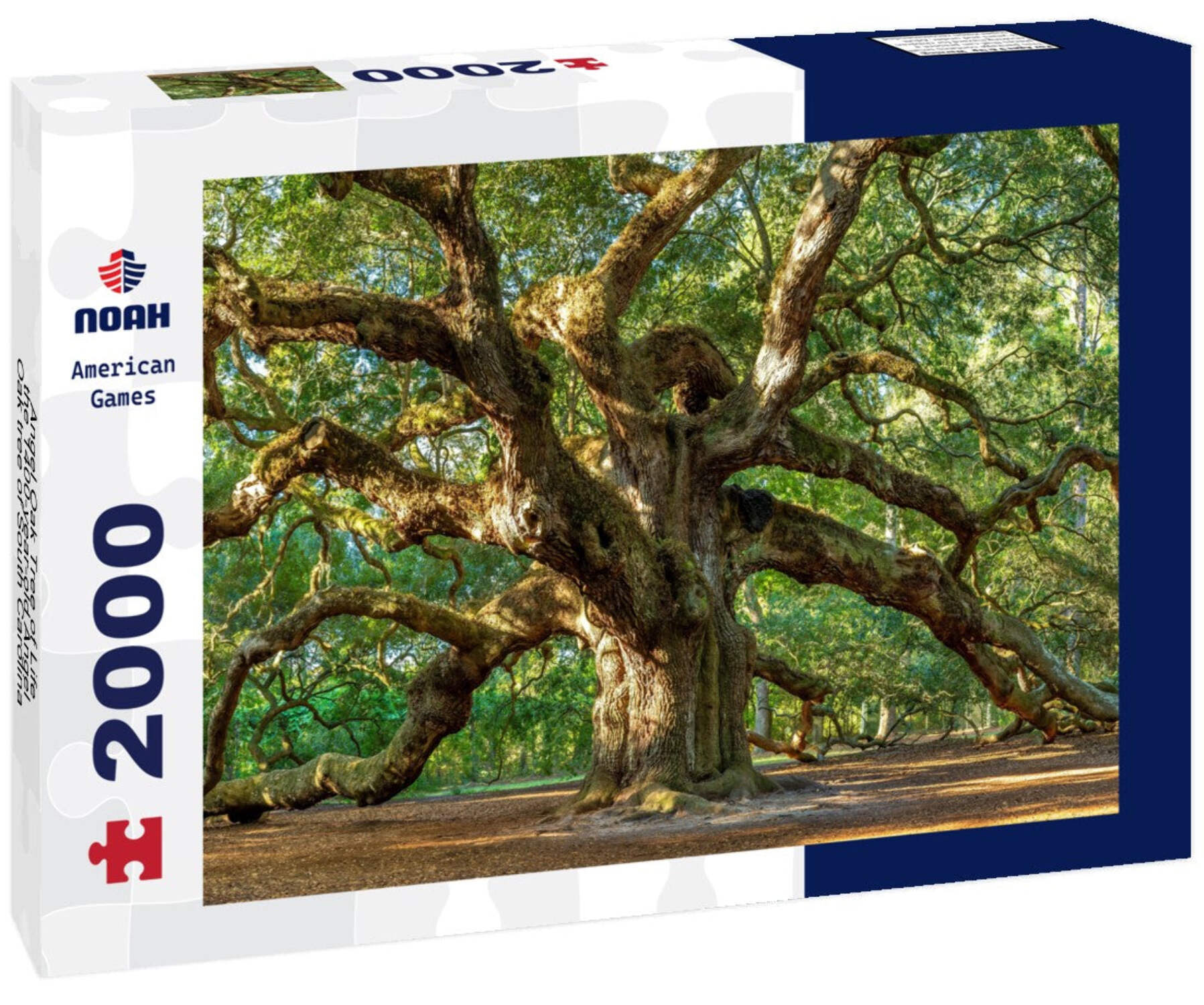 Angel Oak Tree of Life, the 1400-year-old Angel Oak tree of South ...