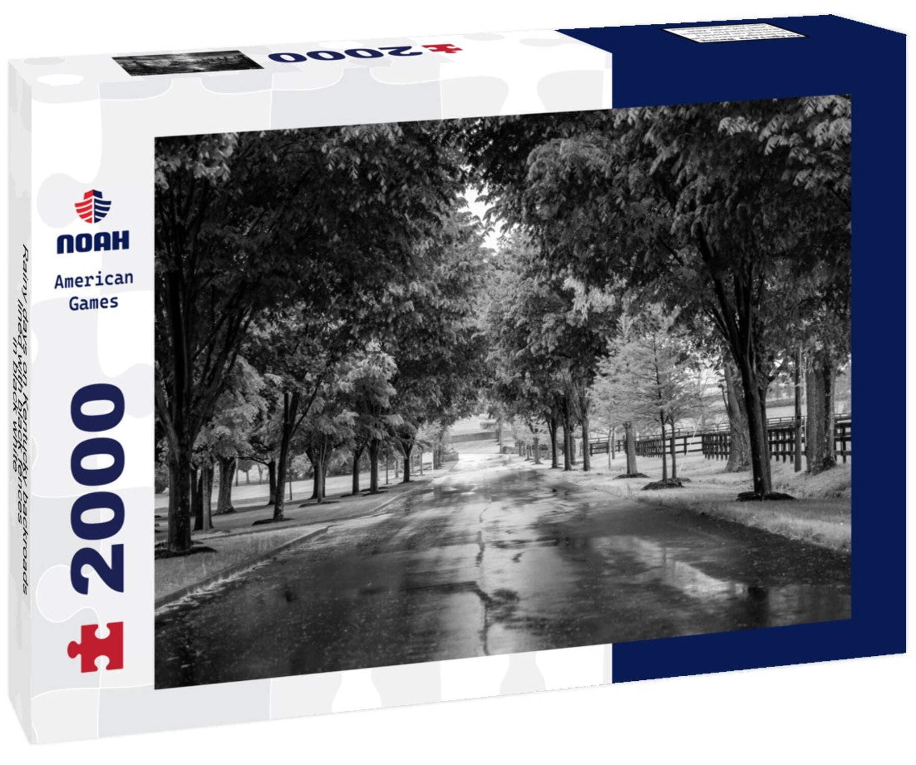 Noah Jigsaw Puzzle Rainy days on Kentucky backroads, lined with black ...