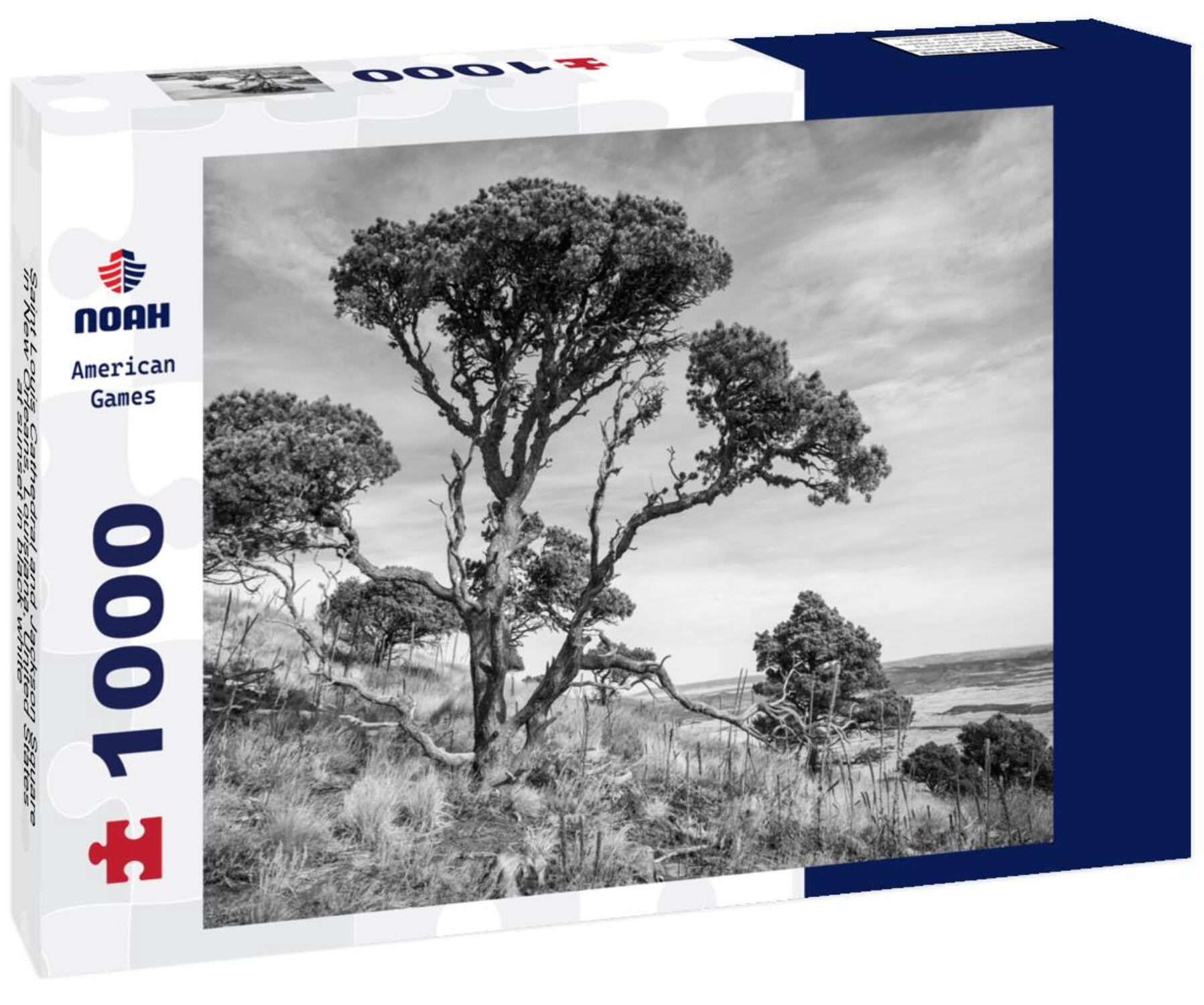 Noah Jigsaw Puzzle Saint Louis Cathedral and Jackson Square in New ...