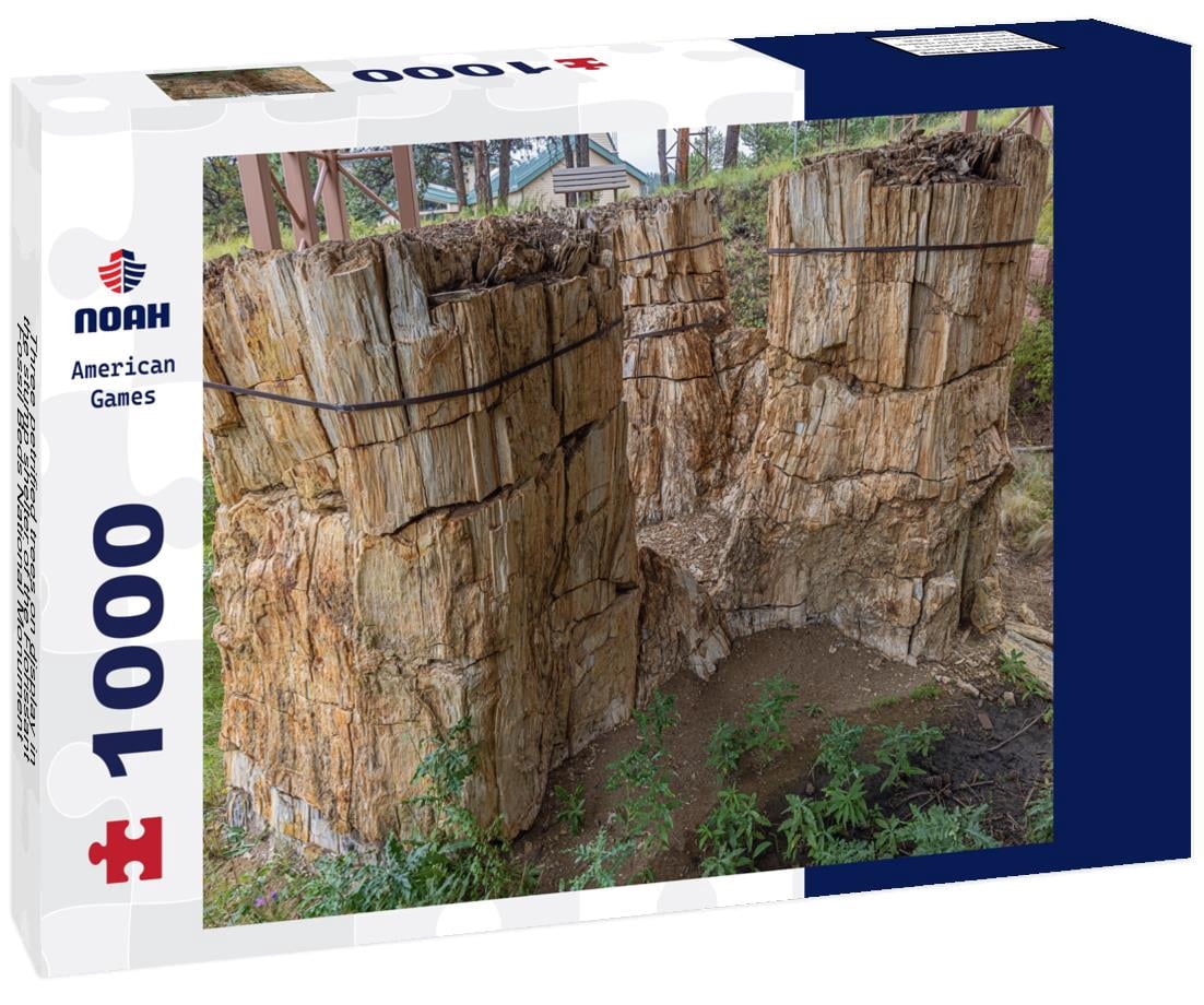 Noah Jigsaw Puzzle Three petrified trees on display in the stump ...